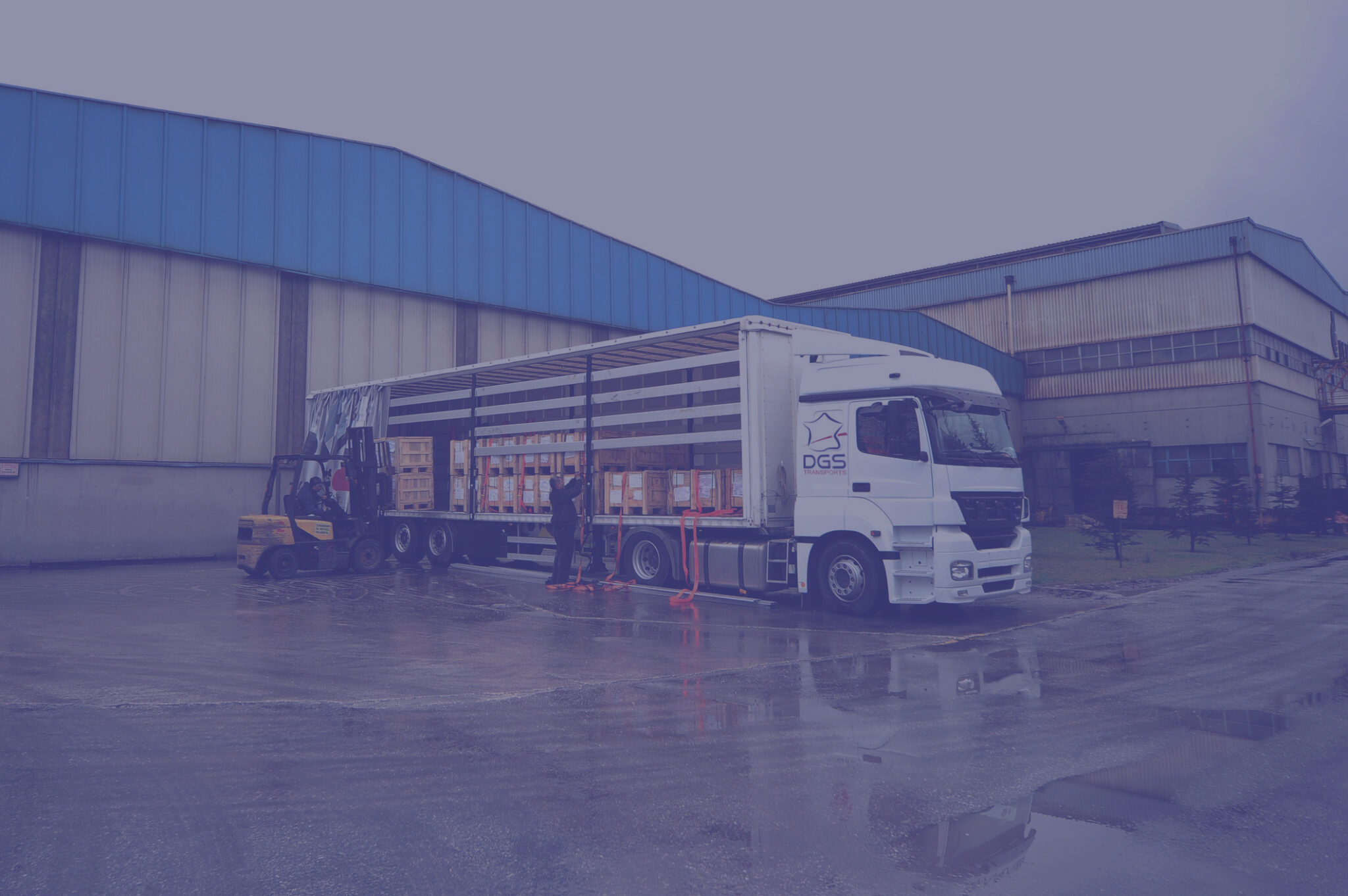 Chartering - DGS Transports